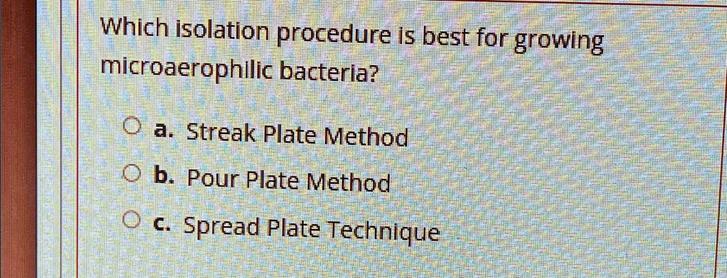 Which isolation procedure is best for growing microaerophilic bacteria ...