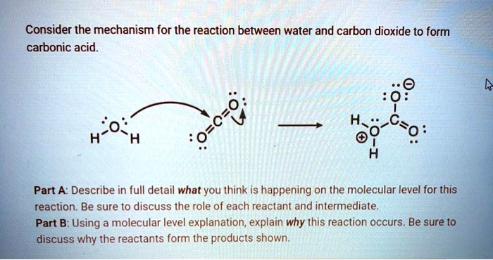 SOLVED: Consider the mechanism for the reaction between water and ...