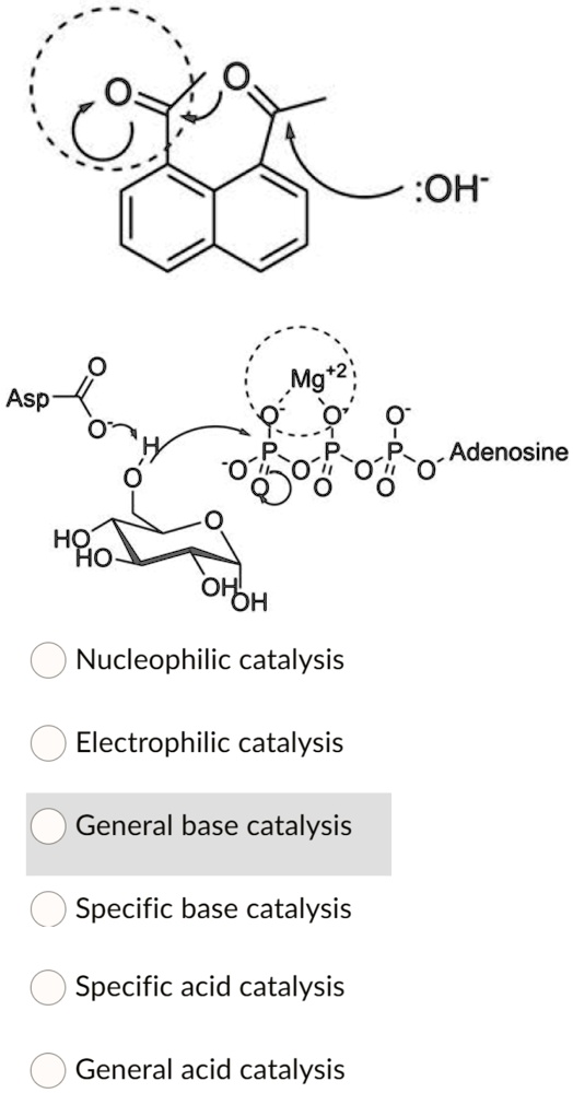 SOLVED:'OH +2 Mg Asp 0 Adenosine HAo Nucleophilic catalysis ...