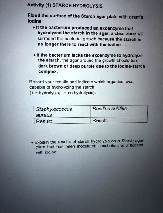 SOLVED: Activity (1) STARCH HYDROLYSIS Flood the surface of the Starch ...