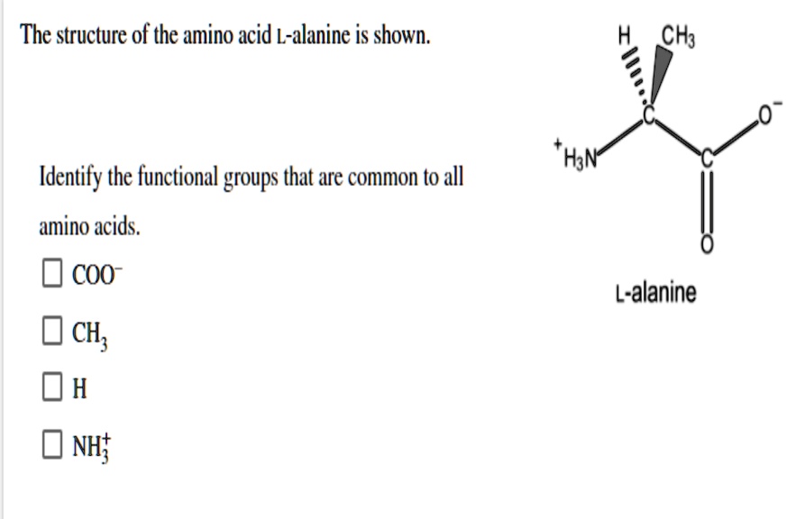 SOLVED: The structure of the amino acid L-alanine is shown: H | C - H ...