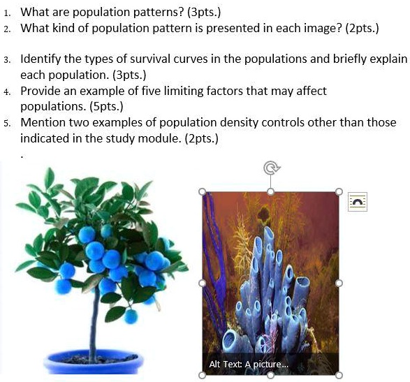 what are population patterns 3pts what kind of population pattern is ...