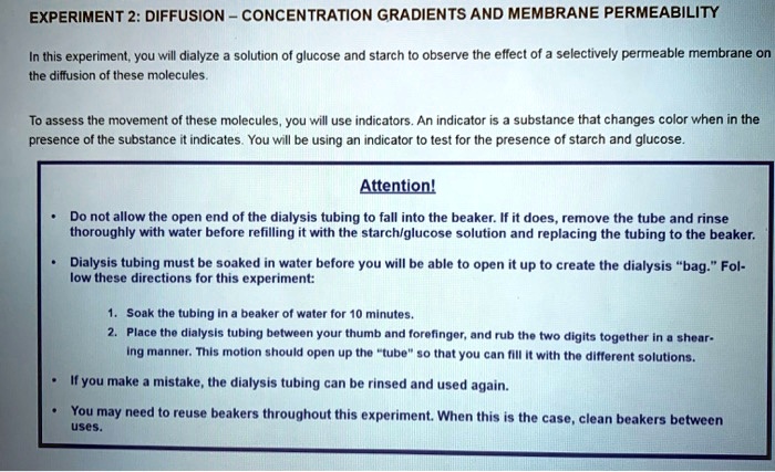 SOLVED: EXPERIMENT 2: DIFFUSION, CONCENTRATION GRADIENTS, AND MEMBRANE ...