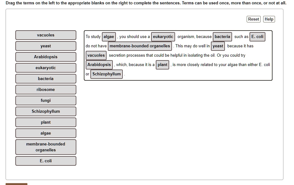 SOLVED: Drag the terms on the left to the appropriate blanks on the ...