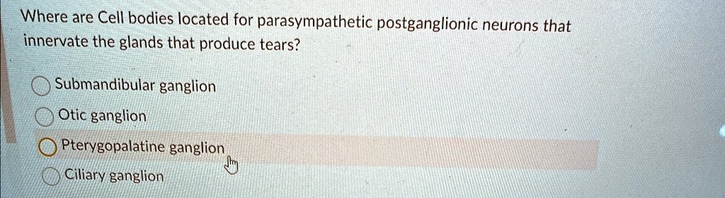 where are cell bodies located for parasympathetic postganglionic ...