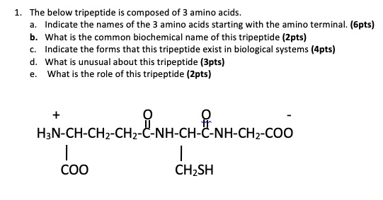 SOLVED: The below tripeptide composed of amino acids. Indicate the ...