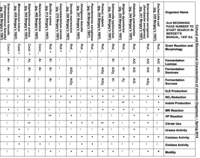 SOLVED: Create a dichotomous key for these 15 unknown organisms ...