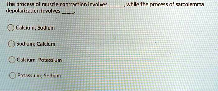 SOLVED: The process of muscle contraction involves depolarization ...