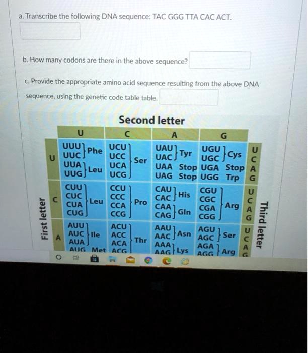 SOLVED: Transcribe the following DNA sequence: TAC GGG TTA CAC ACT b ...