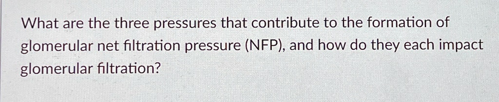 What are the three pressures that contribute to the formation of ...