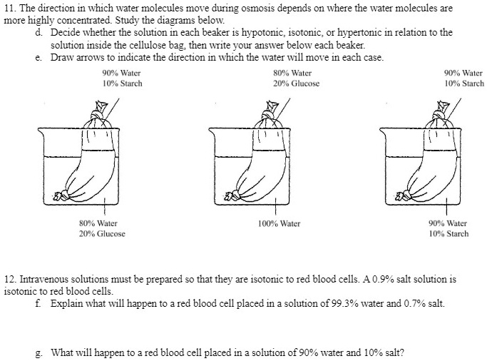 SOLVED: 11. The direction in which water molecules move during osmosis ...
