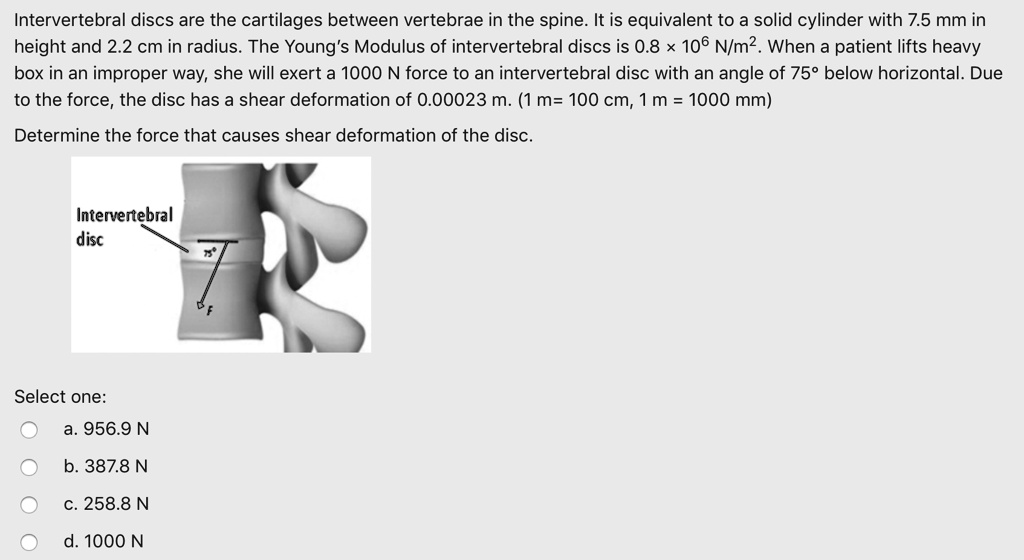 intervertebral discs are the cartilages between vertebrae in the spine ...