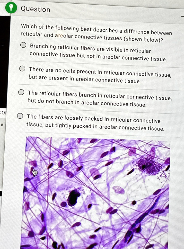 Question Which of the following best describes a difference between ...