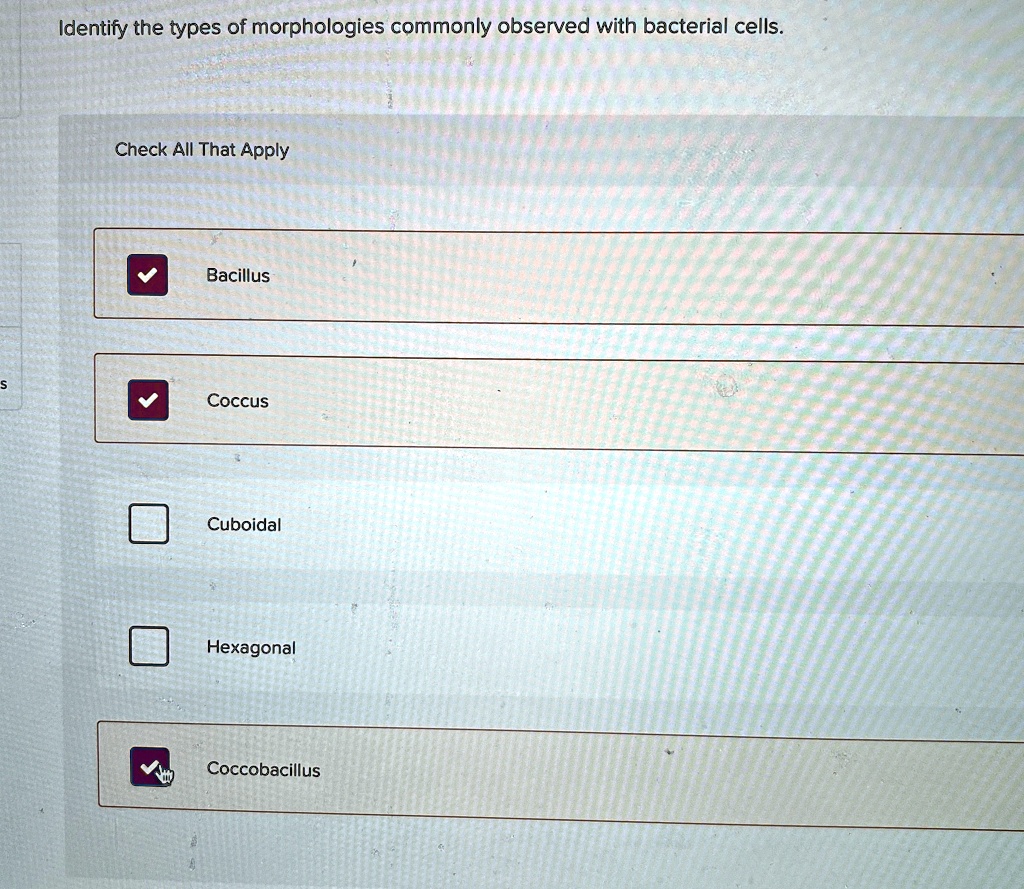 identify the types of morphologies commonly observed with bacterial ...