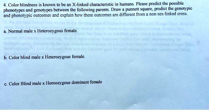 SOLVED: Color blindness is known to be an X-linked characteristic in ...