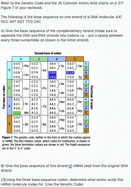 SOLVED: Refer t0 the Genetic Code and the 20 Common Amino Acid charts on 317 Figure of your ...