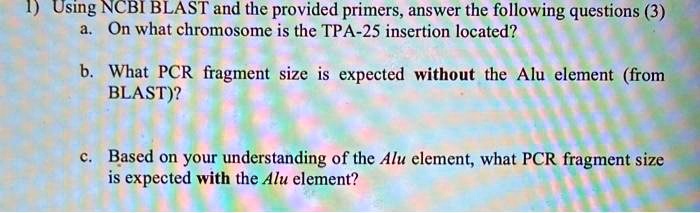using ncbi blast and the provided primers answer the following ...