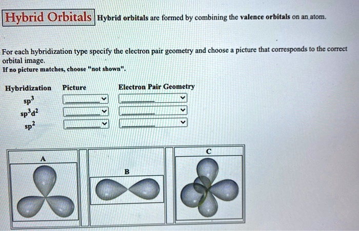 SOLVED: Hybrid Orbitals Hybrid orbitals are formed by com bining the ...