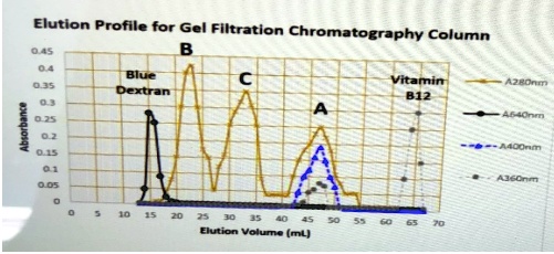 SOLVED: Elution Profile for Gel Filtration Chromatography Column Blue ...