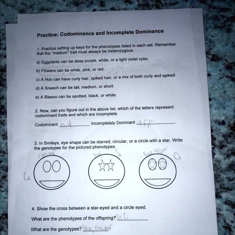 please help part 1 i have another paper practice codominance and incomplete dominance setting up ...