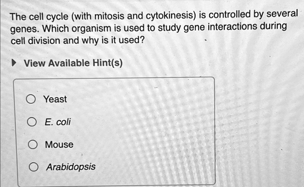 SOLVED: The cell cycle (with mitosis and cytokinesis) is controlled by ...