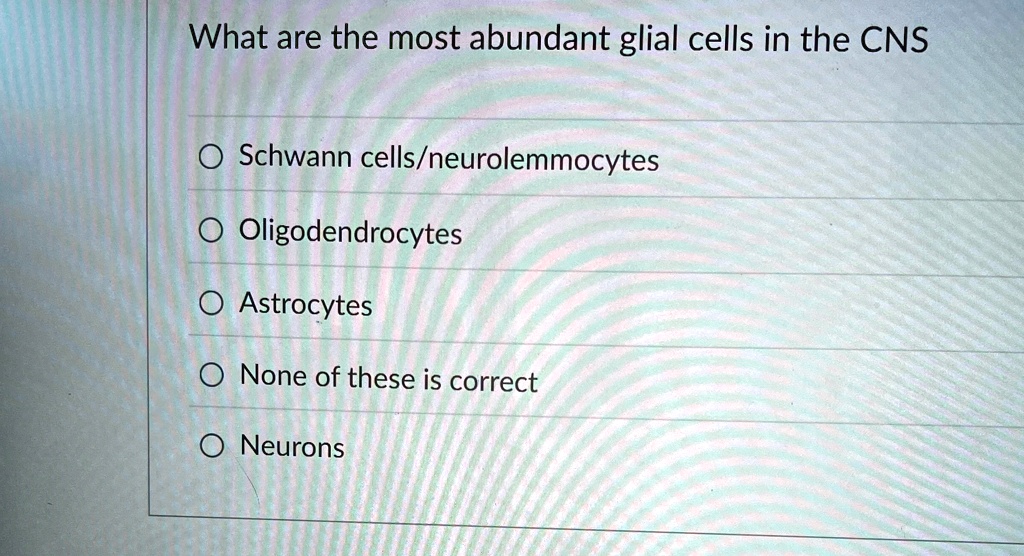 what are the most abundant glial cells in the cns schwann ...