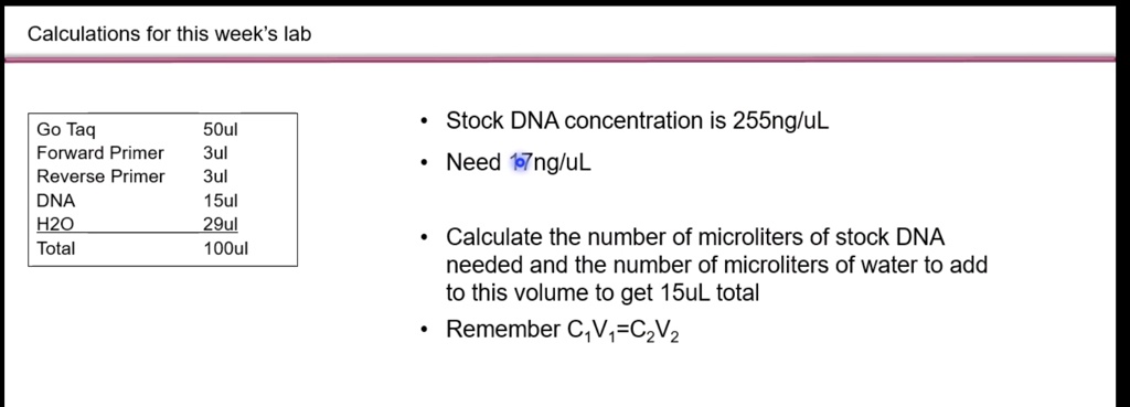 calculations for this weeks lab go taq forward primer reverse primer ...