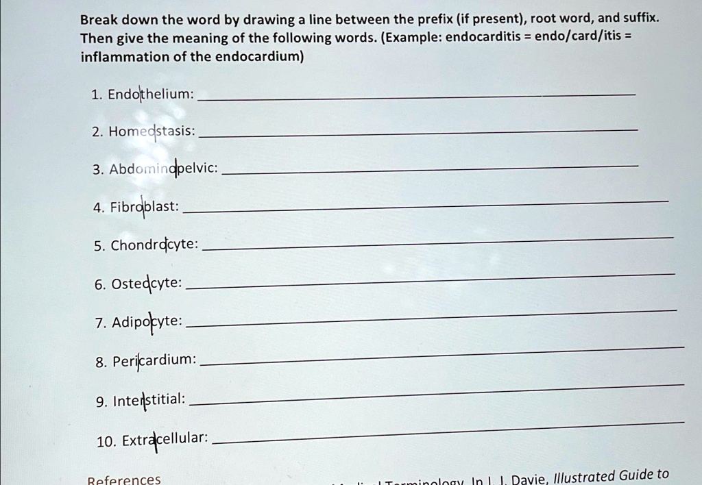 Break down the word by drawing a line between the prefix (if present ...