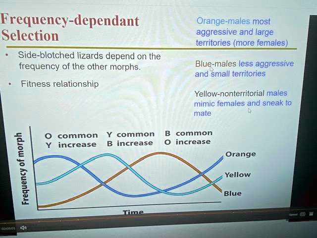 SOLVED: Explain, in 150-300 words, provide a clear explanation of game ...