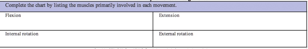Complete the chart by listing the muscles primarily involved in each ...