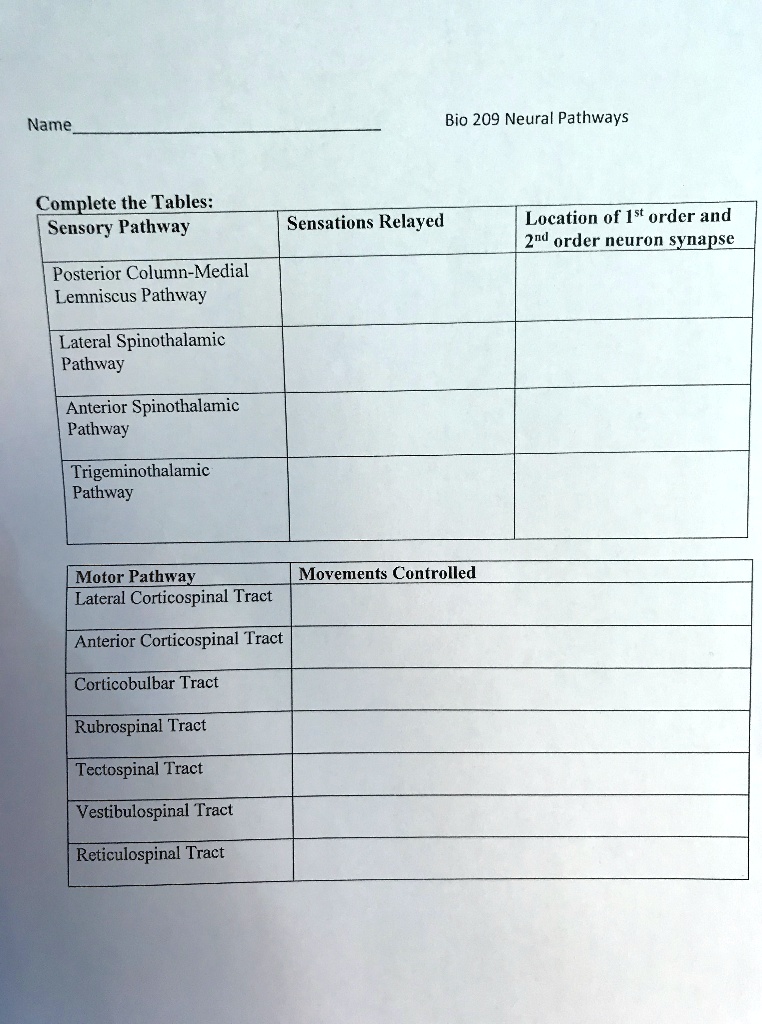 SOLVED: Name: Bio 209 Neural Pathways Complete the Tables: Sensory ...