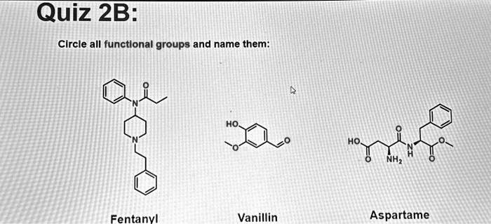 SOLVED: Circle all functional groups and name them: Quiz 2B: Circle all functional groups and ...