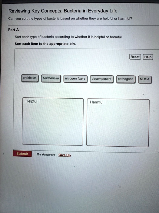SOLVED: Reviewing Key Concepts: Bacteria in Everyday Life Can you sort ...