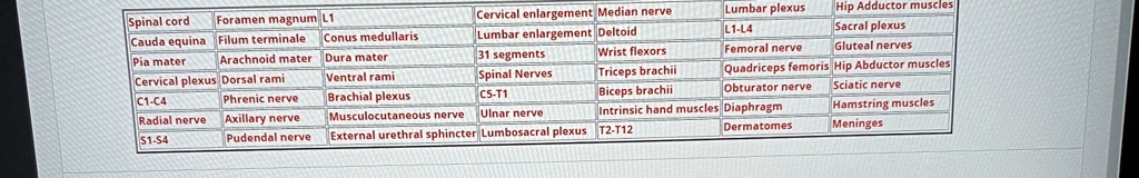 SOLVED: 'How can i make a concept map using these words matching with ...