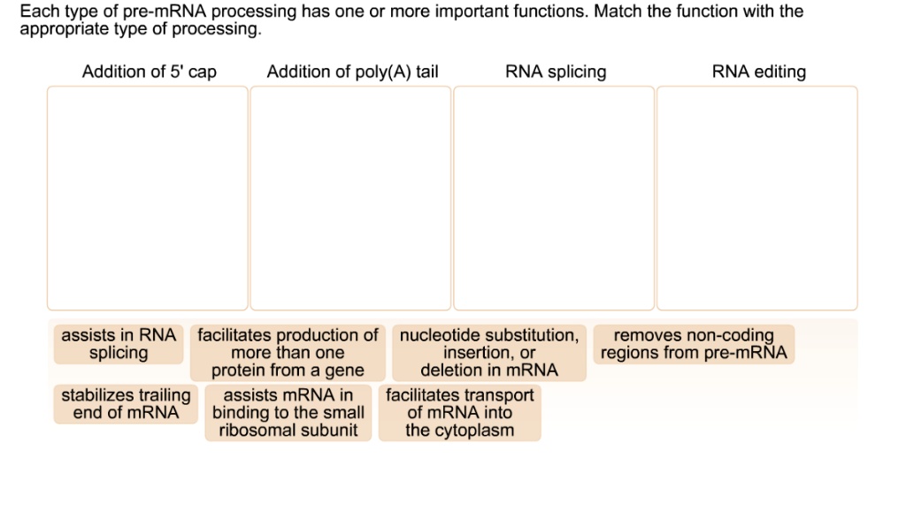 SOLVED: Each type of pre-r mRNA processing has one or more important ...