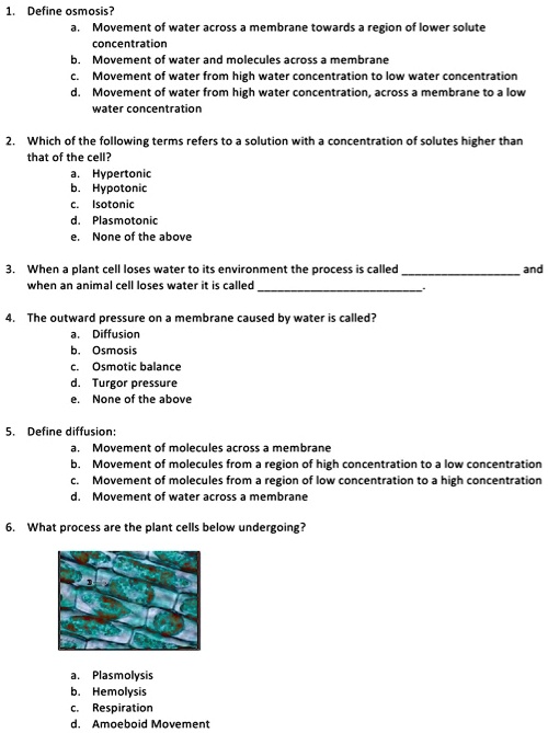 Define osmosis: Movement of water across a membrane towards a region of ...