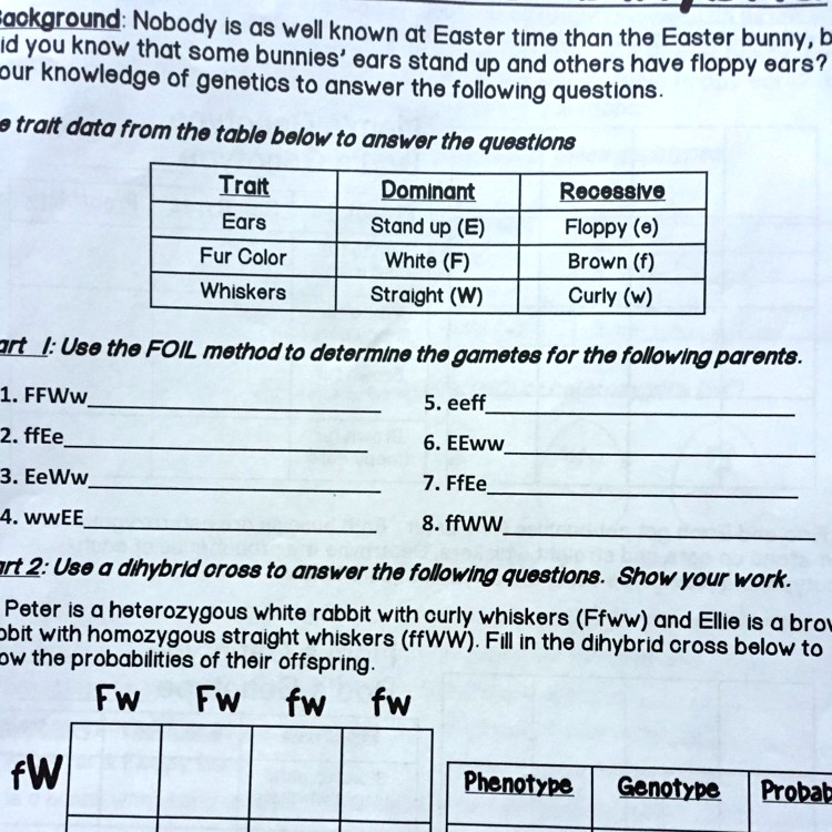 Background: Nobody is as well known at Easter time than the Easter ...