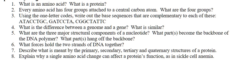 what is an amino acid what is a protein every amino acid has four groups attached to a central ...