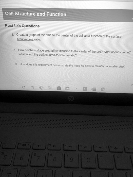 cell structure and function post lab questions create graph of the time ...
