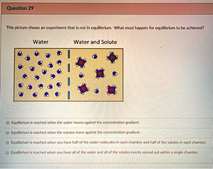This picture shows an experiment that is not in equilibrium....