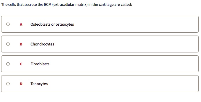 SOLVED: The cells that secrete the ECM (extracellular matrix) in the ...