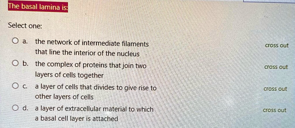 SOLVED: The basal lamina is: Select one: a. the network of intermediate filaments that line the ...
