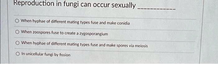 Reproduction in fungi can occur sexually When hyphae of different ...