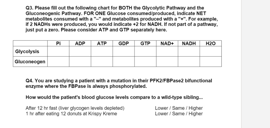 SOLVED: Q3. Please fill out the following chart for BOTH the Glycolytic ...