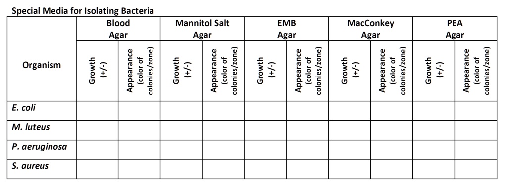 SOLVED: Special Media for Isolating Bacteria Blood Agar Mannitol Salt ...