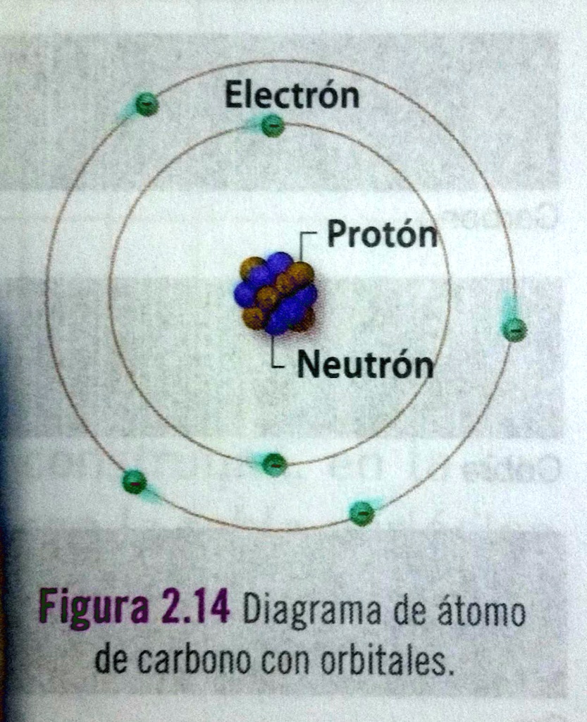 SOLVED: De acuerdo con el número de protones y electrones, ¿cómo es el ...
