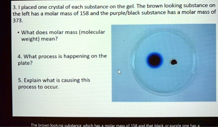 placed one crystal of each substance on the gel the brown looking ...