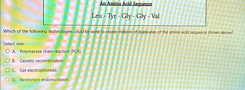 SOLVED: An Amine Acid Sequence Leu - Tyr - Gly - Gly - Val Which of the ...