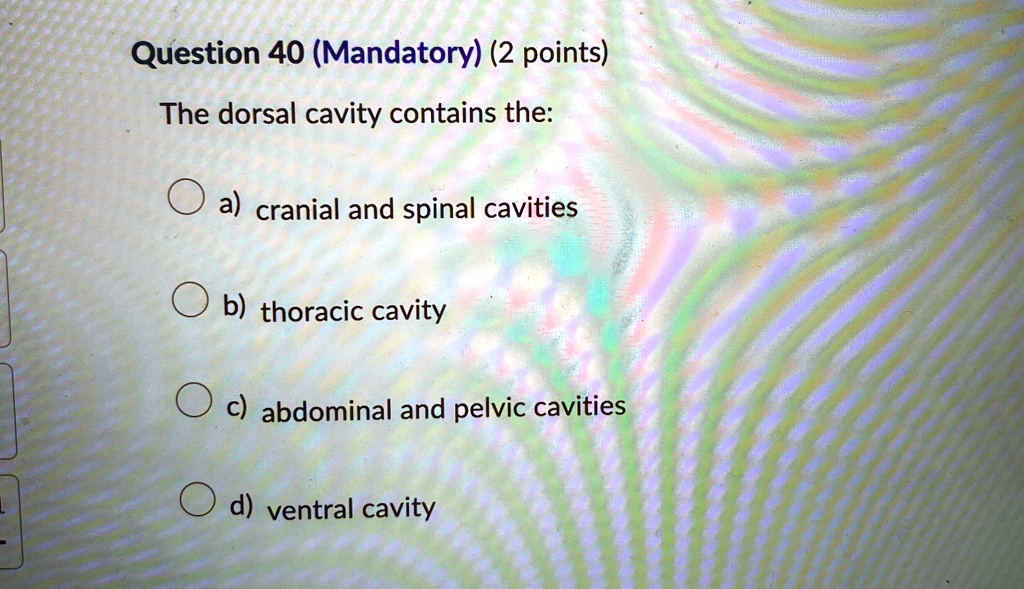 Question 40 (Mandatory) (2 points) The dorsal cavity...