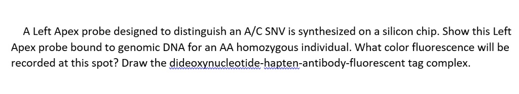 a left apex probe designed to distinguish an ac snv is synthesized on a ...